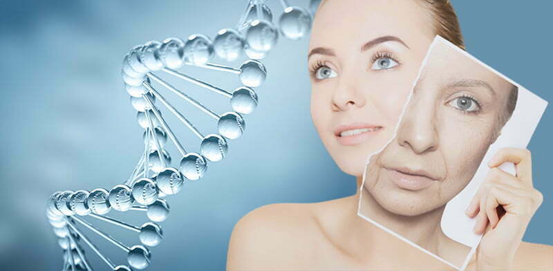 How Do Peptides Work As A Key Ingredient In Private Label Skincare Products