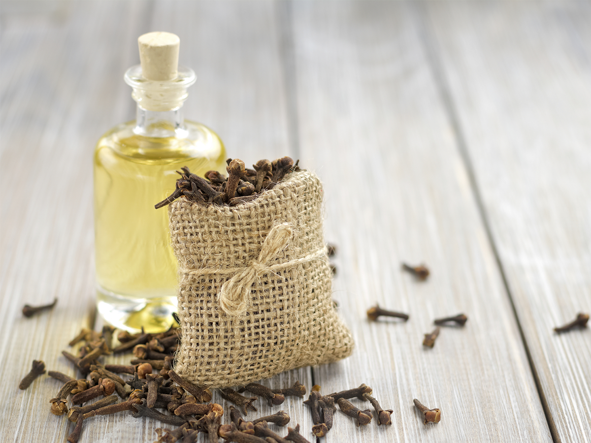 Hand Cream Formulation Guide: Key Ingredients and What to Avoid ...