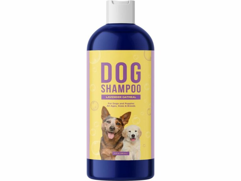 How To Start a Dog Shampoo Business? - Empowering your brand with our ...